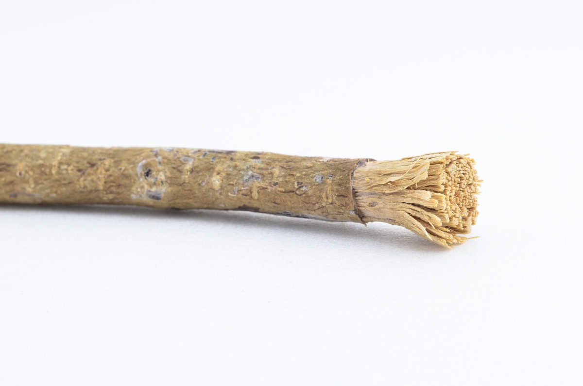 Before the Toothbrush: Ancient Dental Tools That Paved the Way - Olson ...